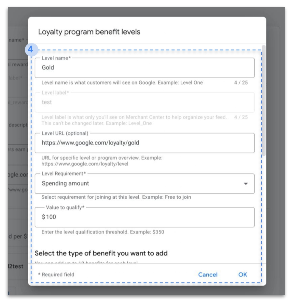 Google Shopping Loyalty Programs: A Strategic Asset for Black Friday ...