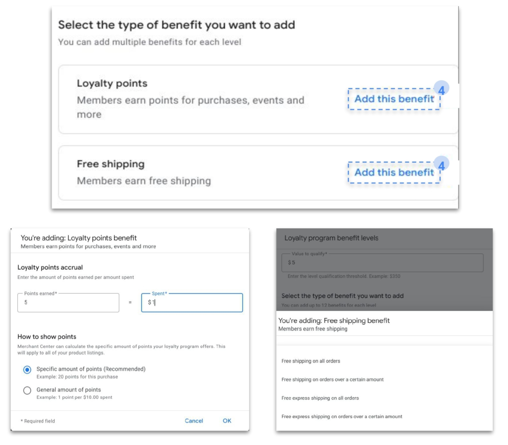 Google Shopping Loyalty Programs: A Strategic Asset for Black Friday ...